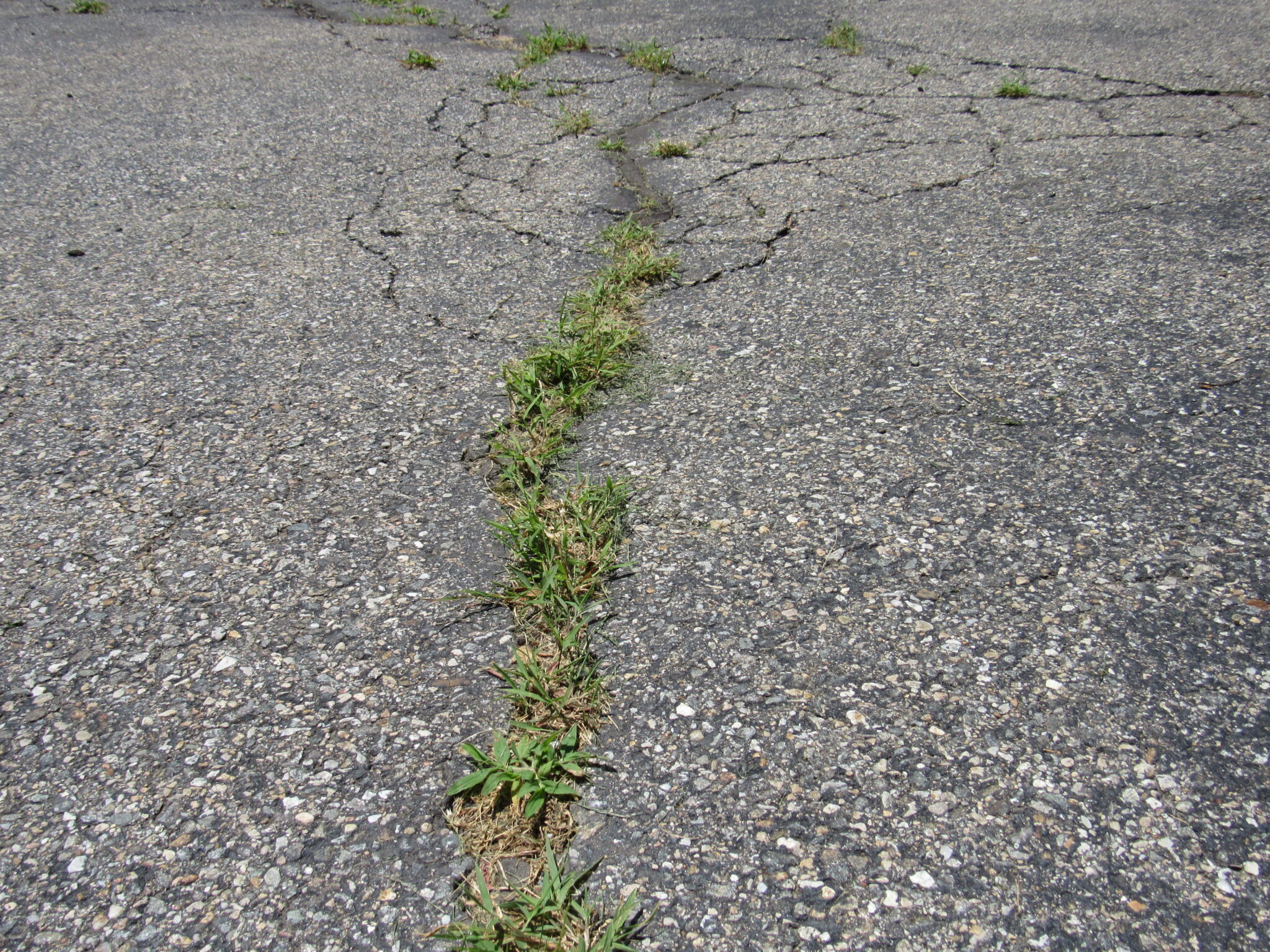 How to Repair Driveway Cracks | Budget-Friendly Methods